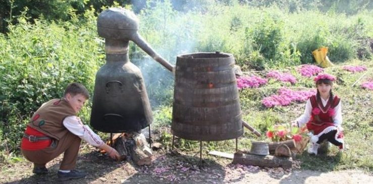 Rose Festival Kazanlak History - Bulgaria Rose Festival Tours